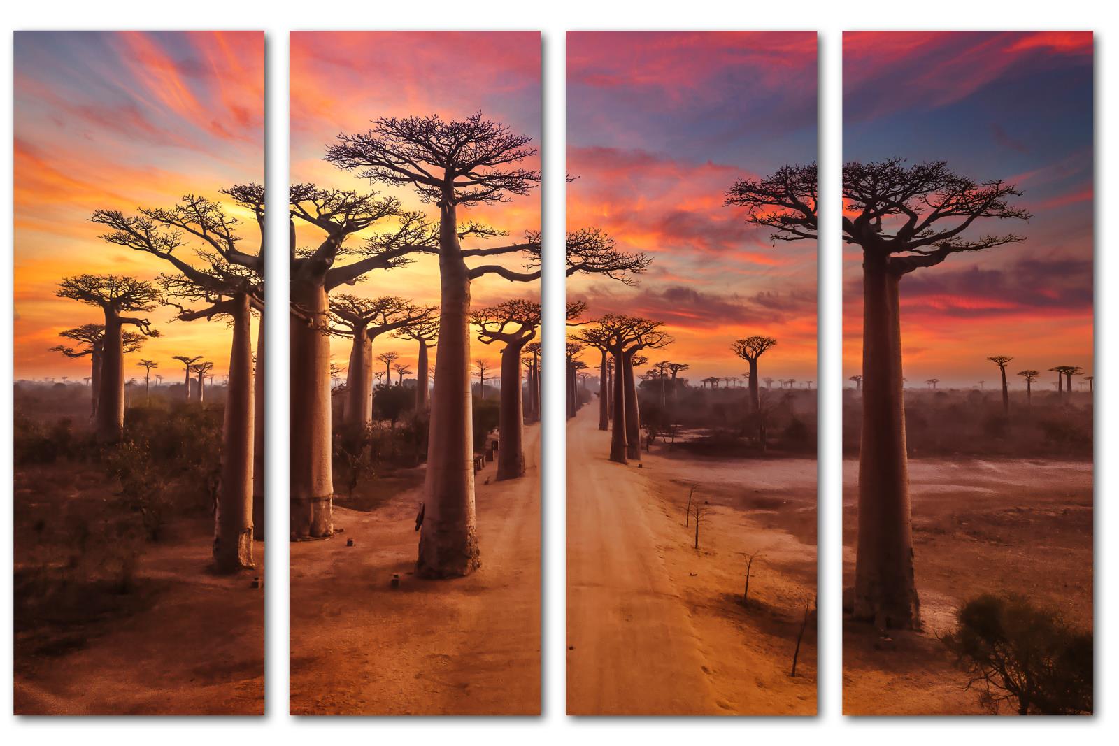 Baobab trees Wall Art Canvas Print at dusk 4 Panel Split Madagascar Tre ...