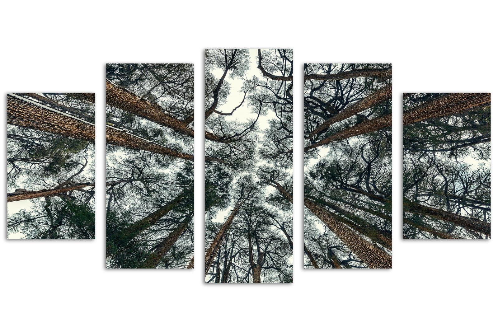 Cedars Trees Wall Art Canvas Print 5 Panel Diamond Split Abstreact Tre ...