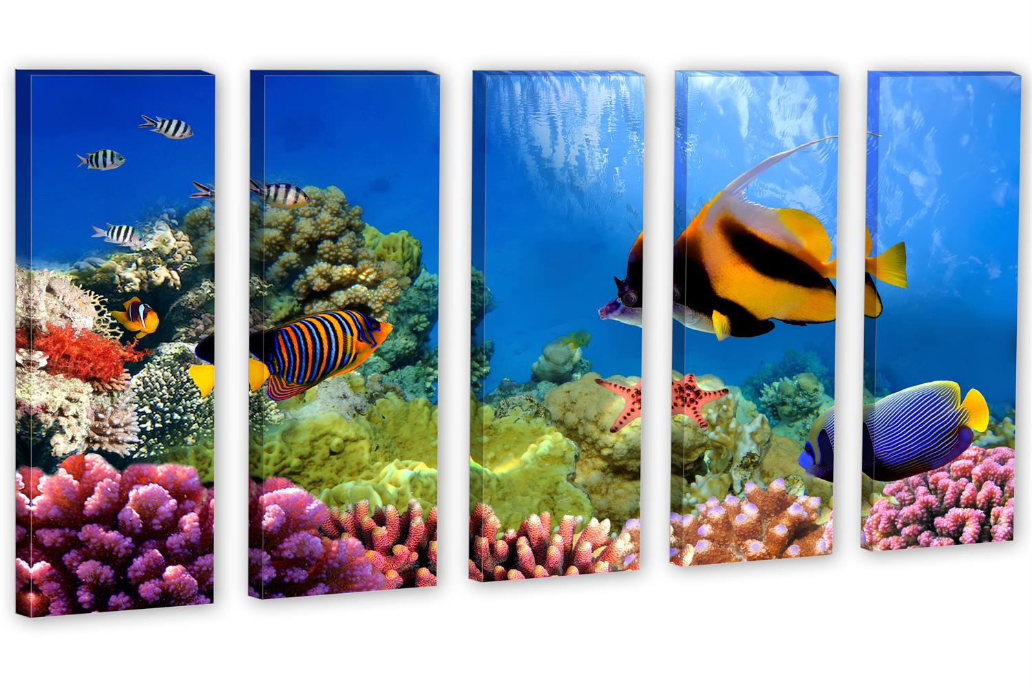 Marine Life, Coral Reef Canvas Print. 5 Panel Split Wall Art. | Canvas ...