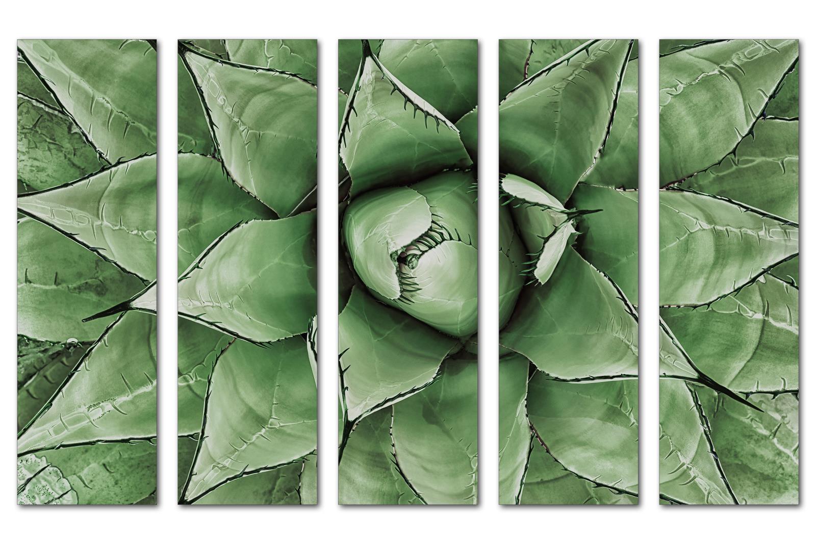 Green Agave Canvas Print Wall Art 5 Panel Split Agave Plant, Botanical ...