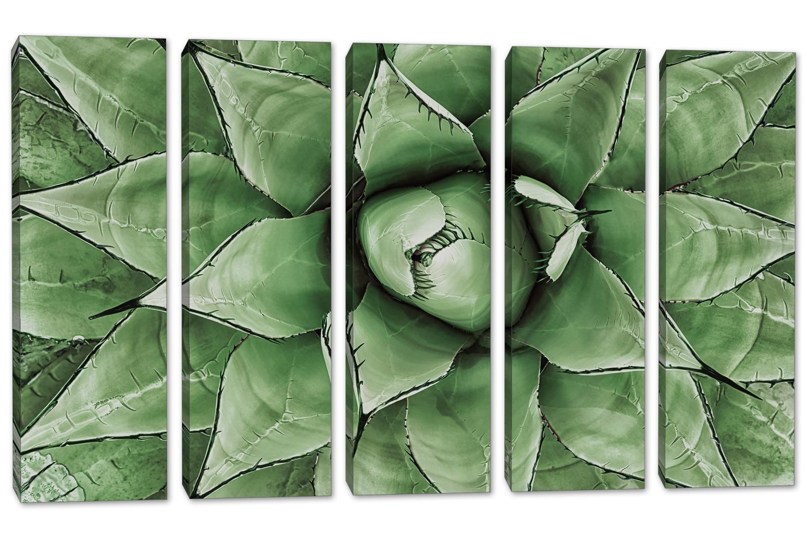 Green Agave Canvas Print Wall Art 5 Panel Split Agave Plant, Botanical ...
