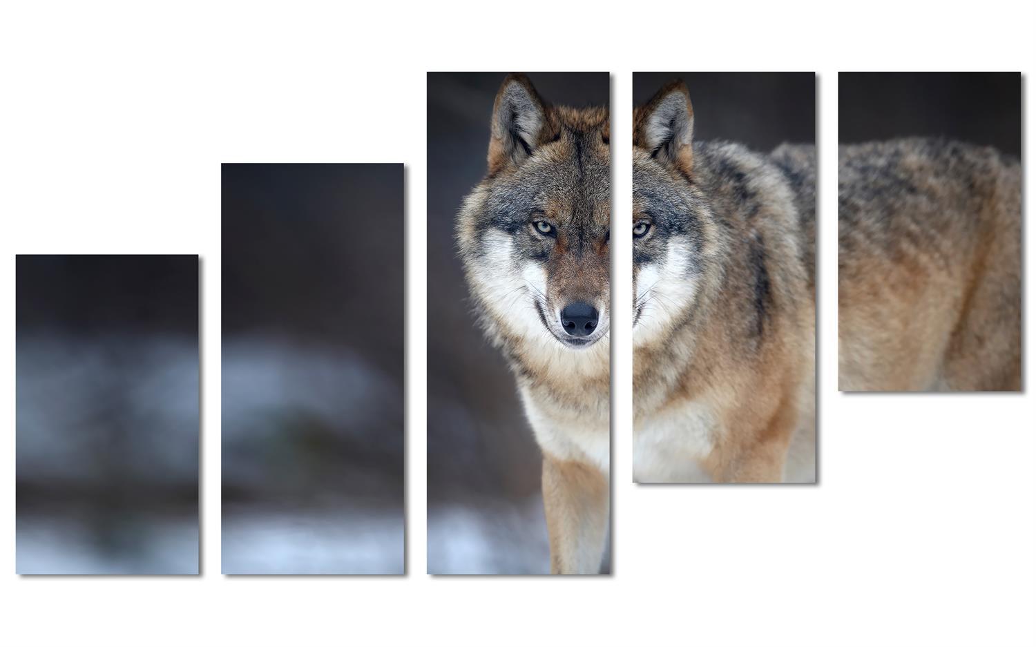 Wolf Canvas Print Wall Art Canis lupus 5 Panel Z Cut Split. Home wall ...