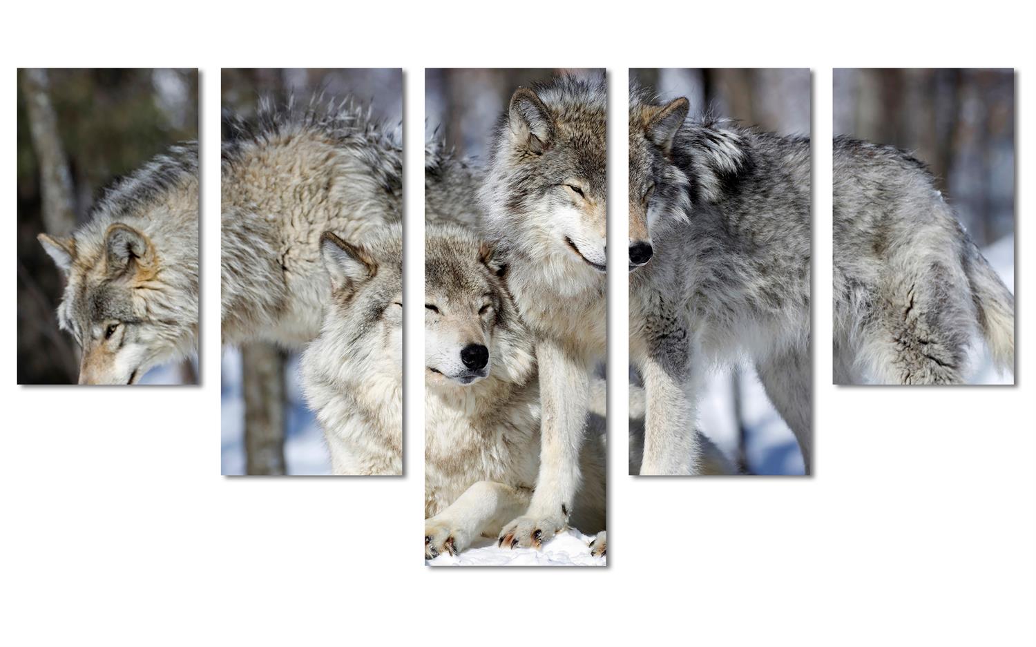 Grey wolf pack Canvas Print Wall Art, wolves 5 Panel Waterfall Split ...
