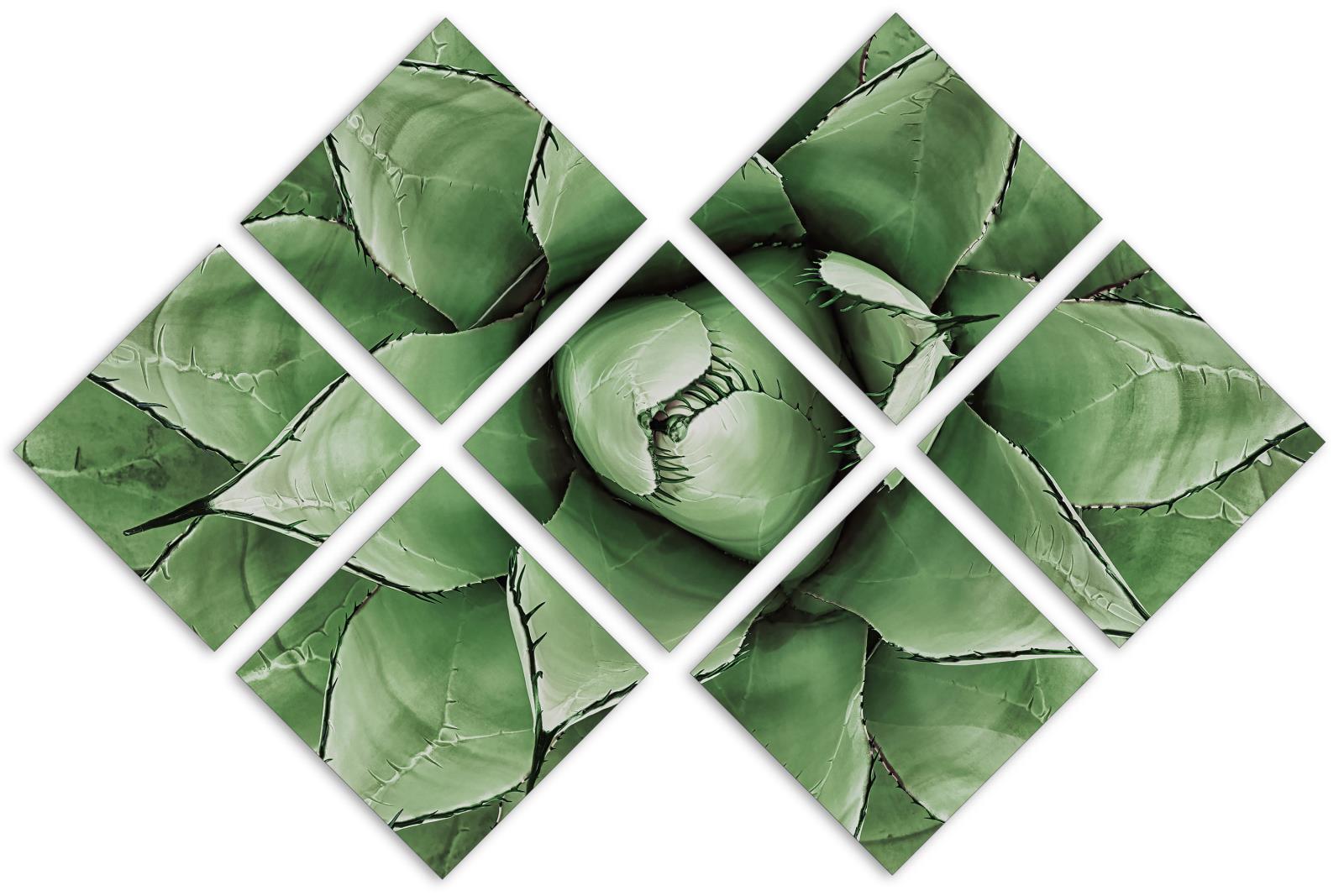 Green Agave Canvas Print Wall Art 7 Panel Butterfly Split Agave Plant ...