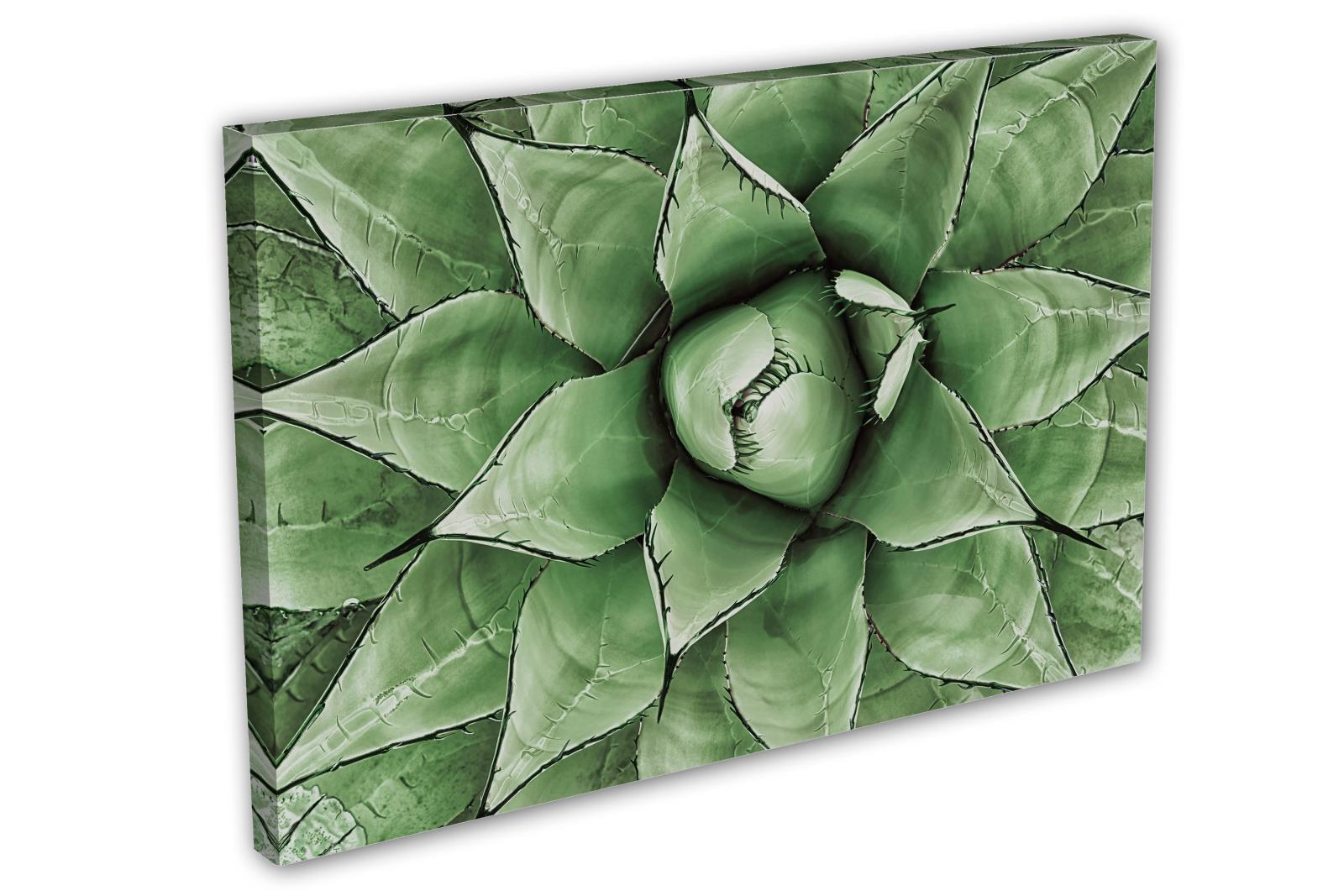 Green Agave Canvas Print Wall Art Agave Plant, Botanical Wall Art ...