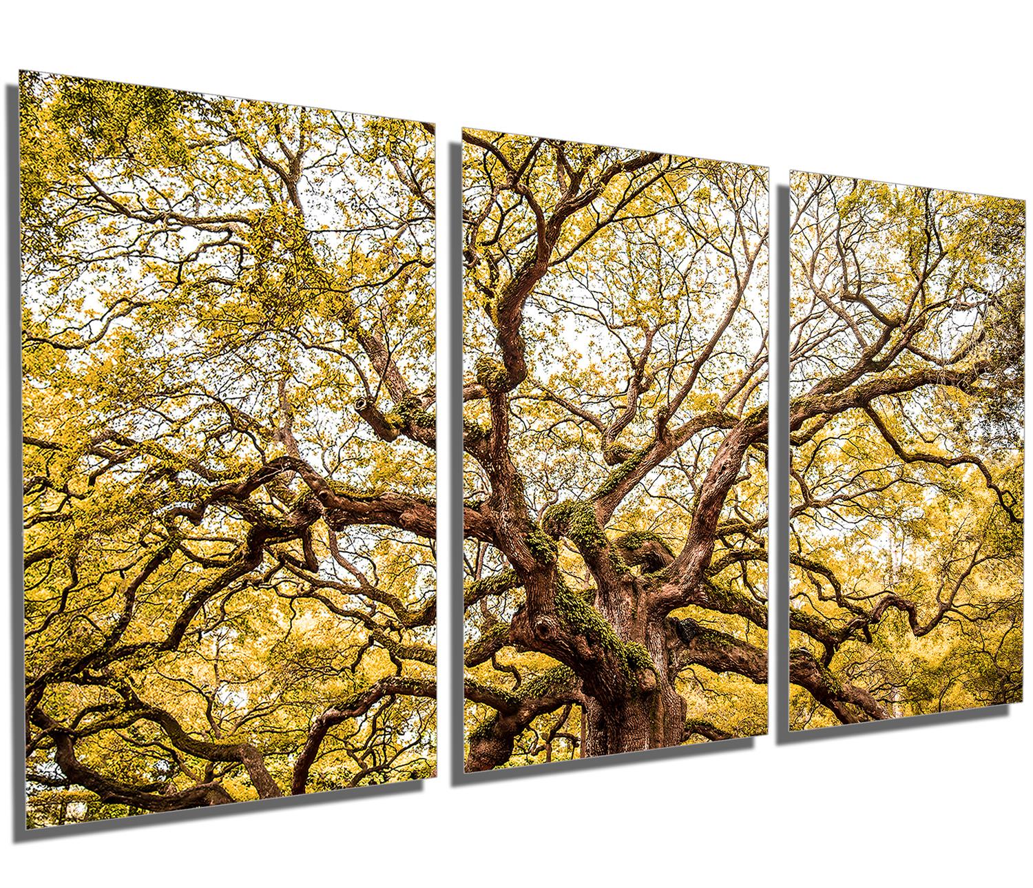 Angel Oak Tree Wall Art Metal Print orange. 3 Panel split, Triptych ...