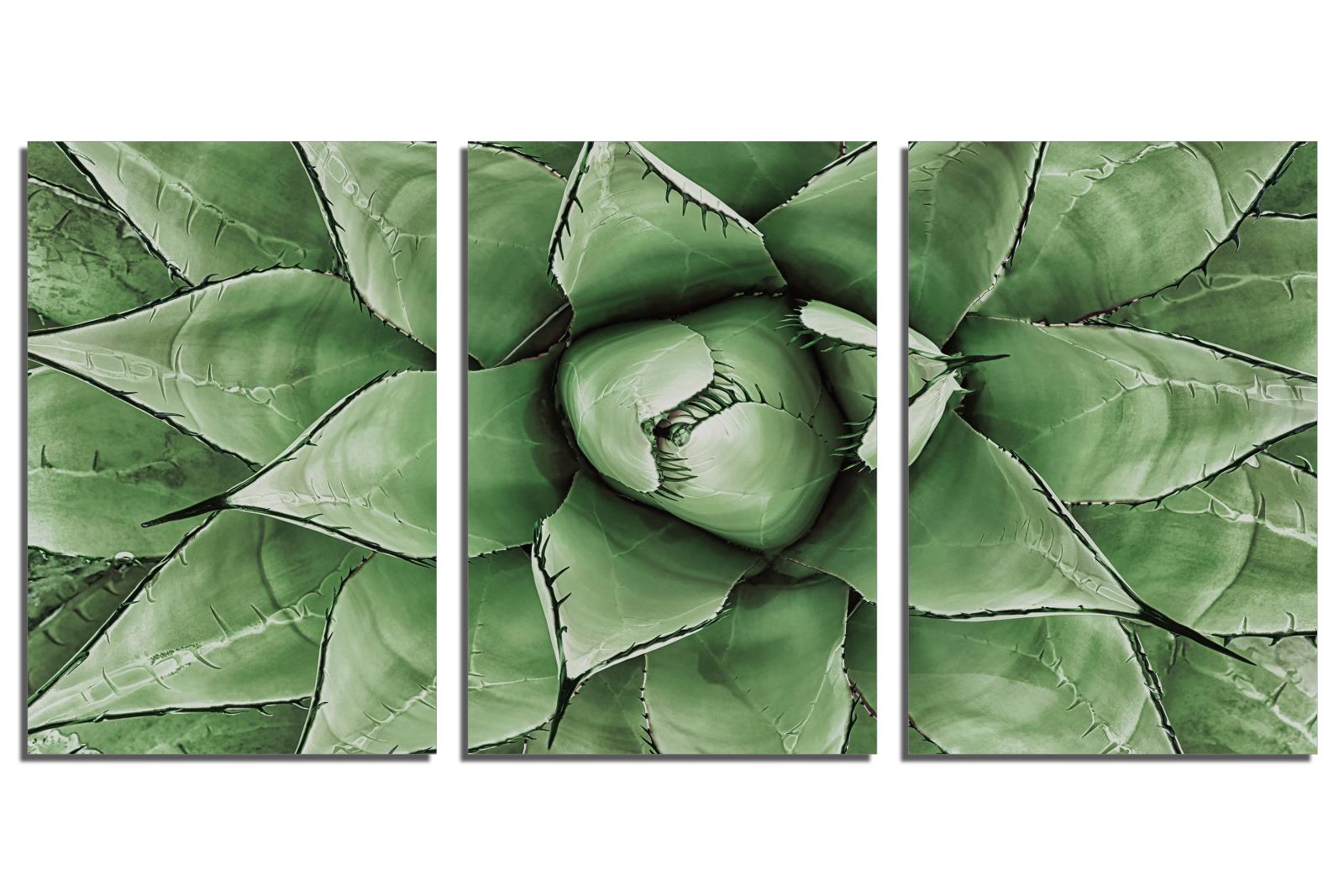 Green Agave Metal Print Wall Art 3 Panel Split Agave Plant, Botanical ...