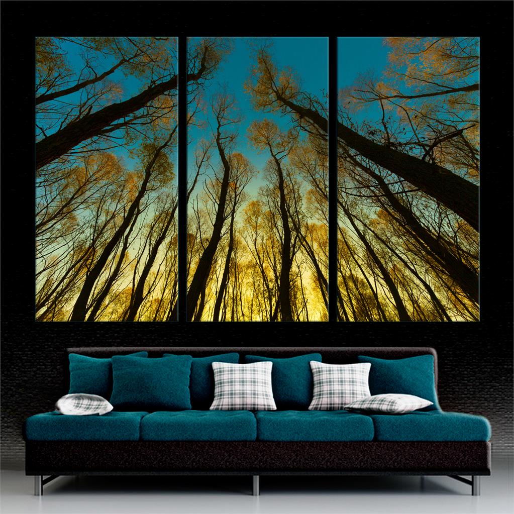 Trees in Forest Canvas Print - 3 Panel Split, Triptych Wall Art for ...