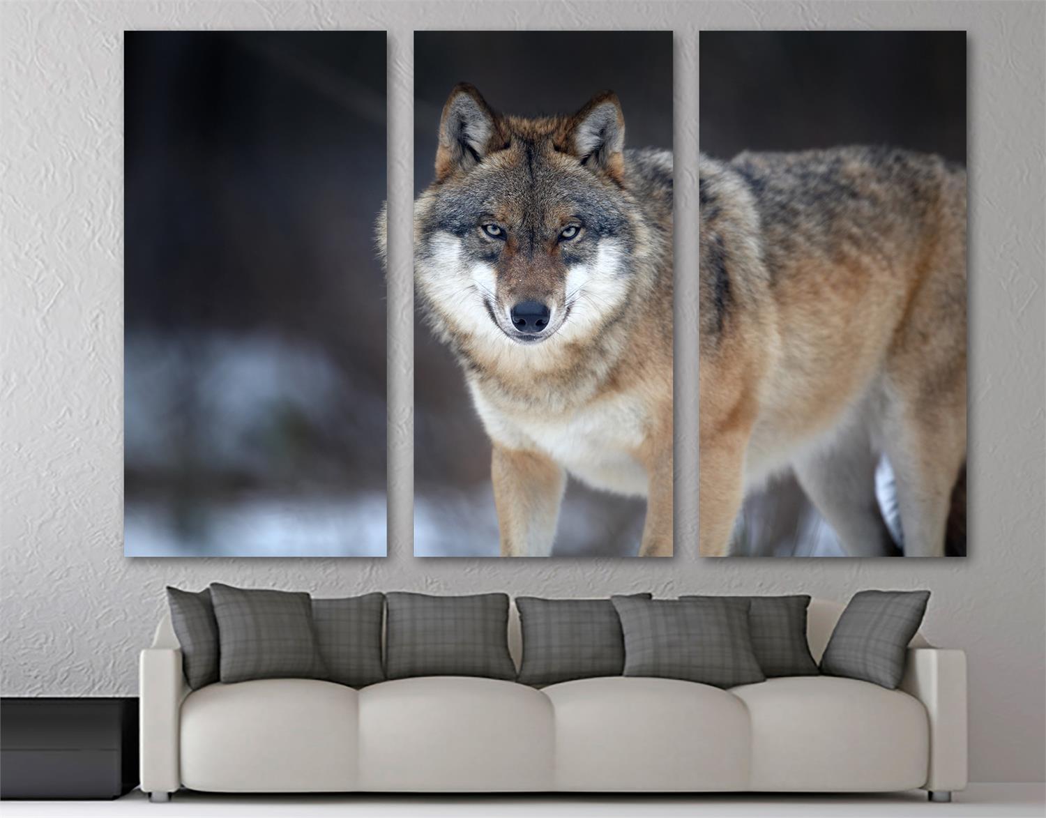 Wolf Canvas Print Wall Art Canis lupus 3 Panel Split, Triptych. Home ...