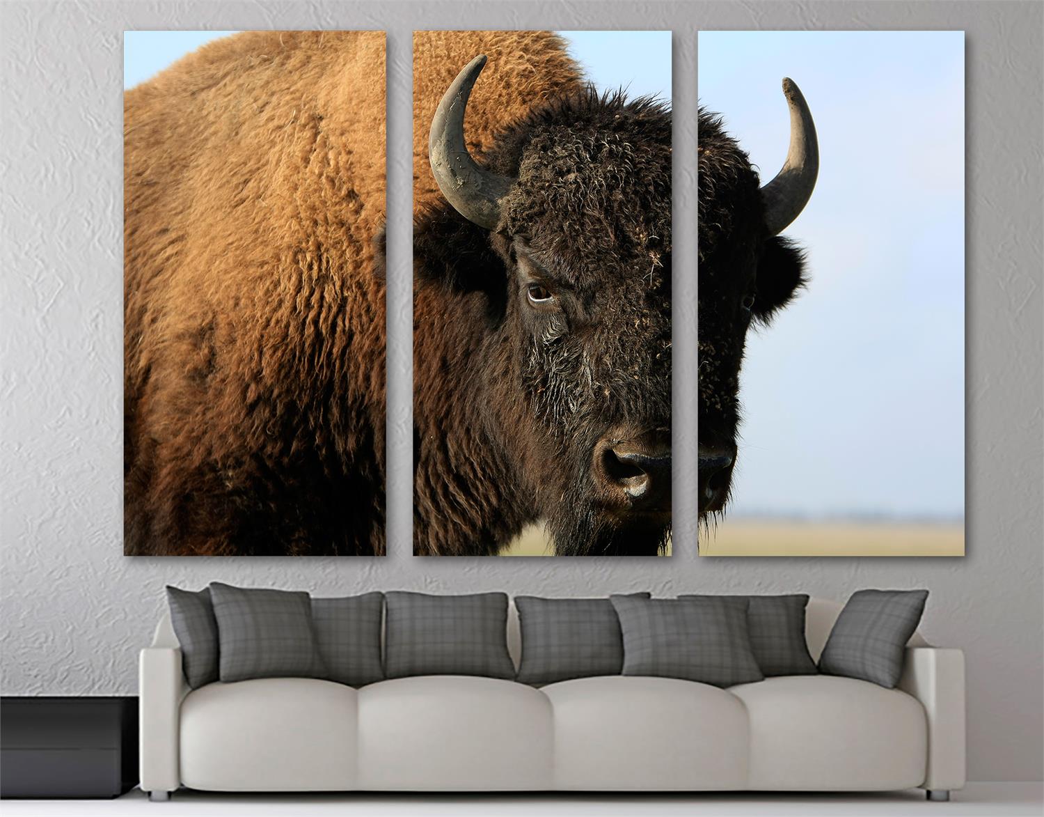 Buffalo, Bison Canvas Print Wall Art. 3 Panel Split, Triptych Animal ...