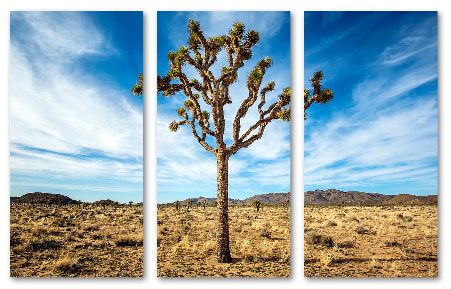 Lonely Joshua Tree Wall Art Canvas Print 3 Panel Split, Triptych Tree ...